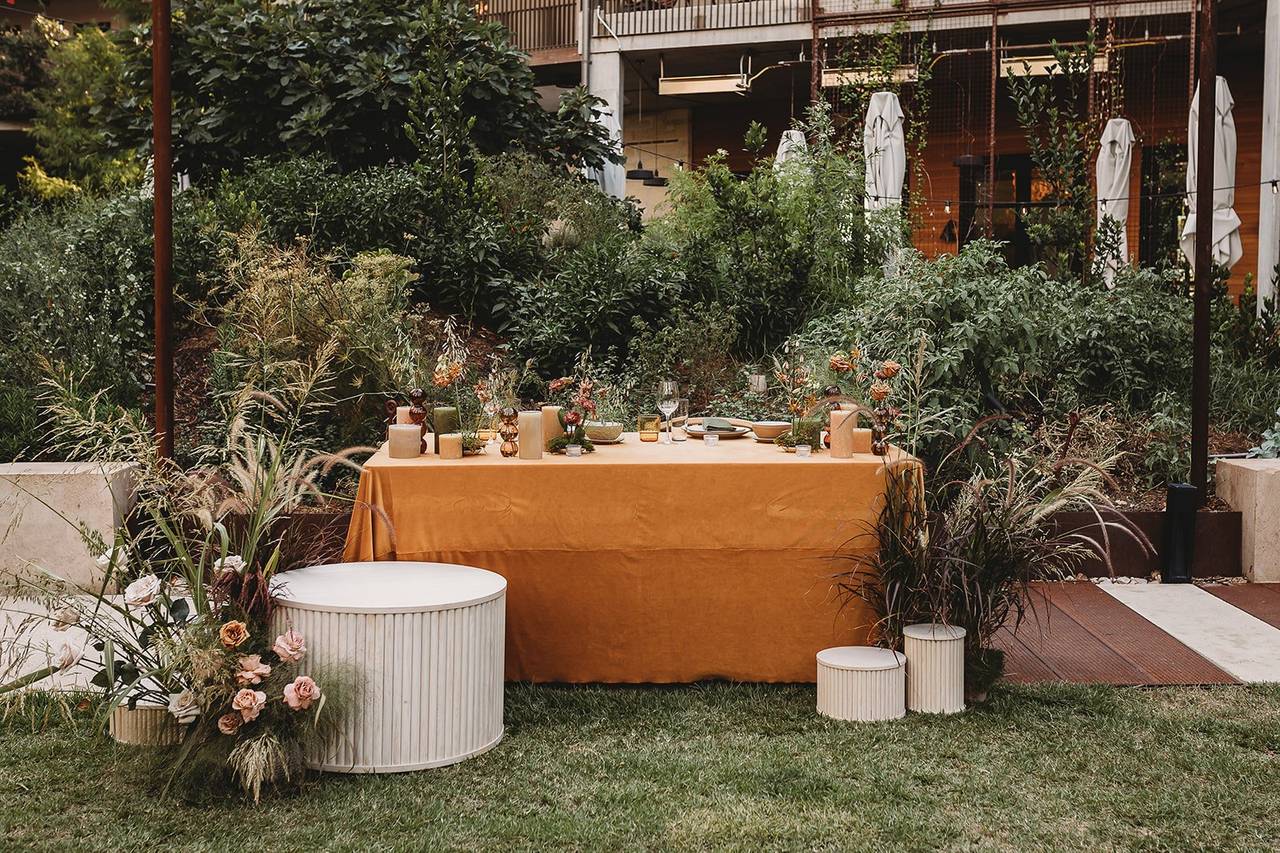 Hotel Magdalena - Reviews, Photos & Deals 2026 - Austin, TX - WeddingWire