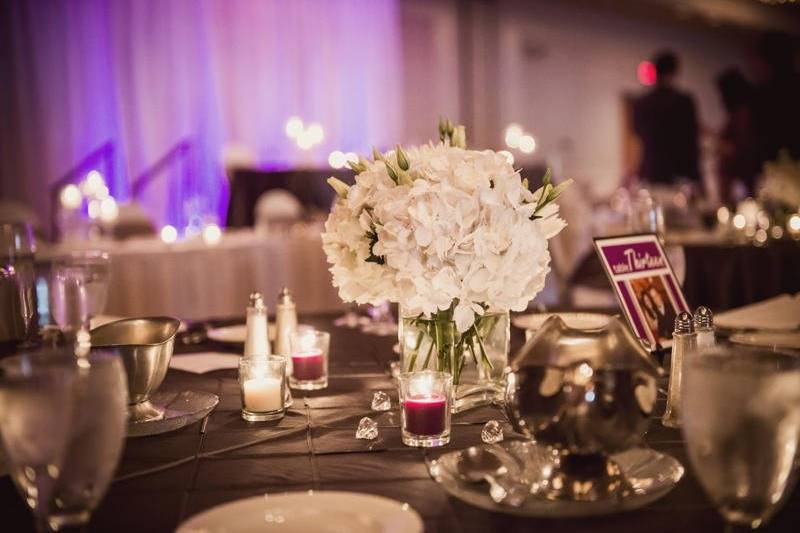 Sheraton Detroit Novi Hotel - Reviews, Photos & Deals 2026 - Novi, MI ...
