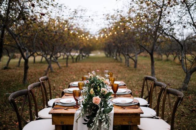 One Stop Event Rentals - Reviews, Photos & Deals 2026 - South Portland ...