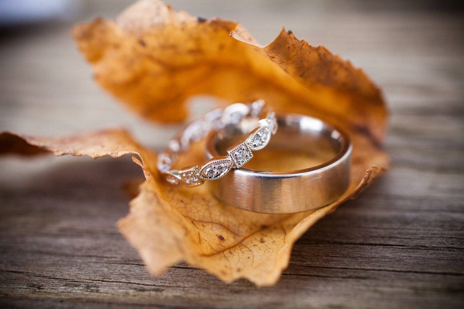 Genevieve Leiper Photography - Reviews, Photos & Deals 2026 - Leesburg ...