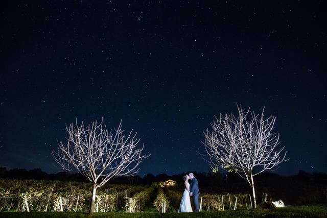 Genevieve Leiper Photography - Reviews, Photos & Deals 2026 - Leesburg ...