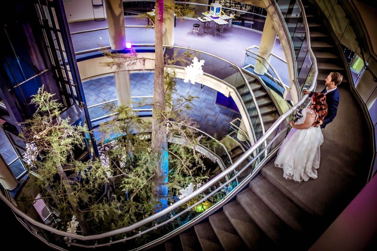 Orlando Science Center - Museum Weddings - Orlando, FL - WeddingWire