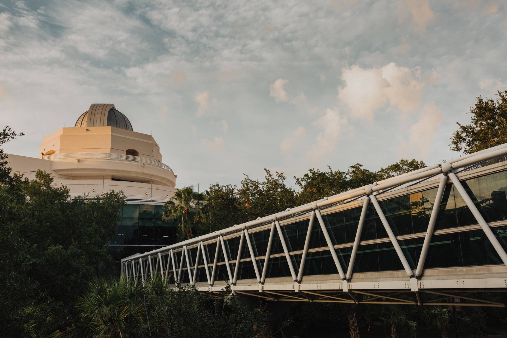 Orlando Science Center - Museum Weddings - Orlando, FL - WeddingWire