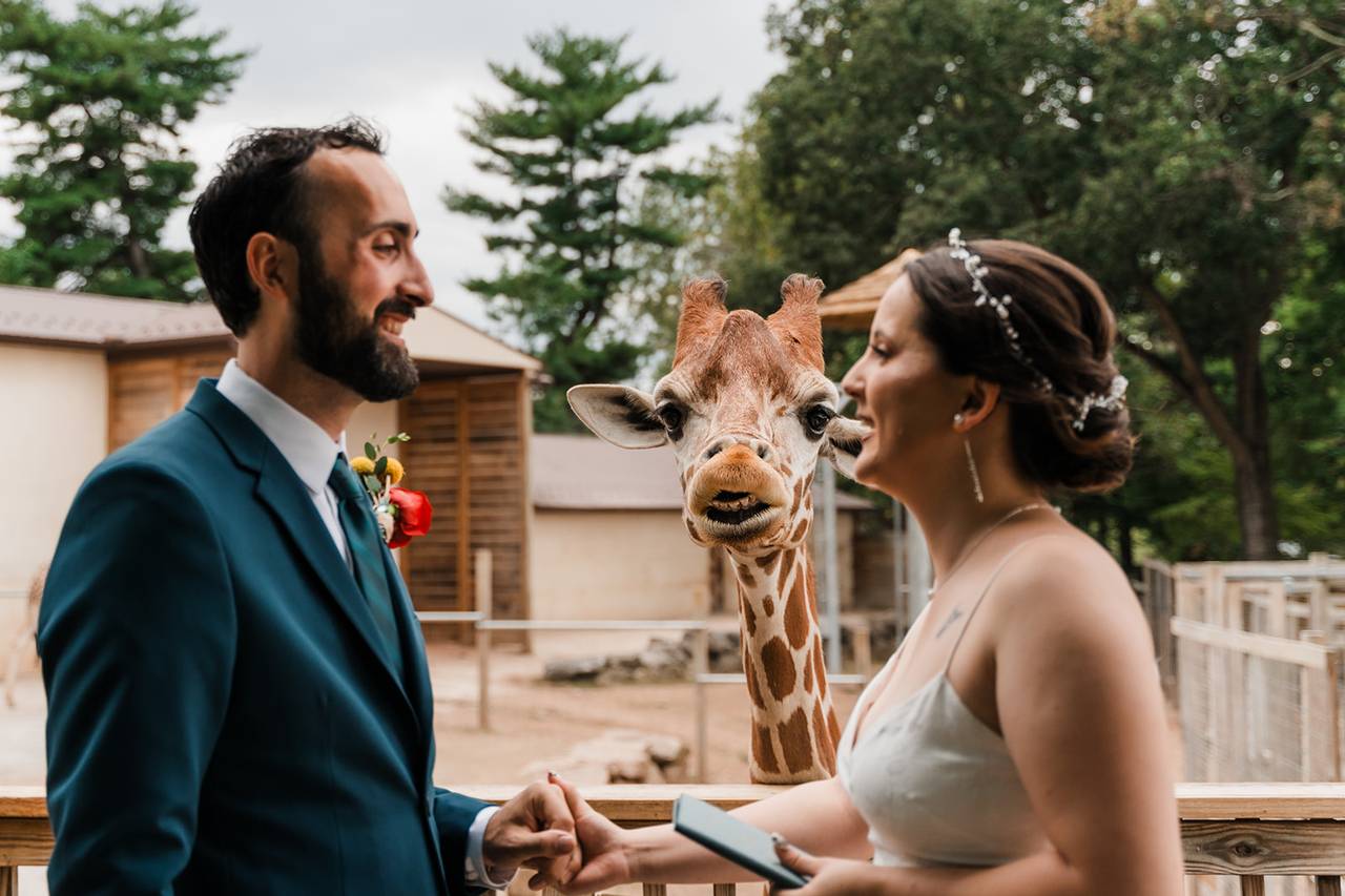 Videos from Elmwood Park Zoo