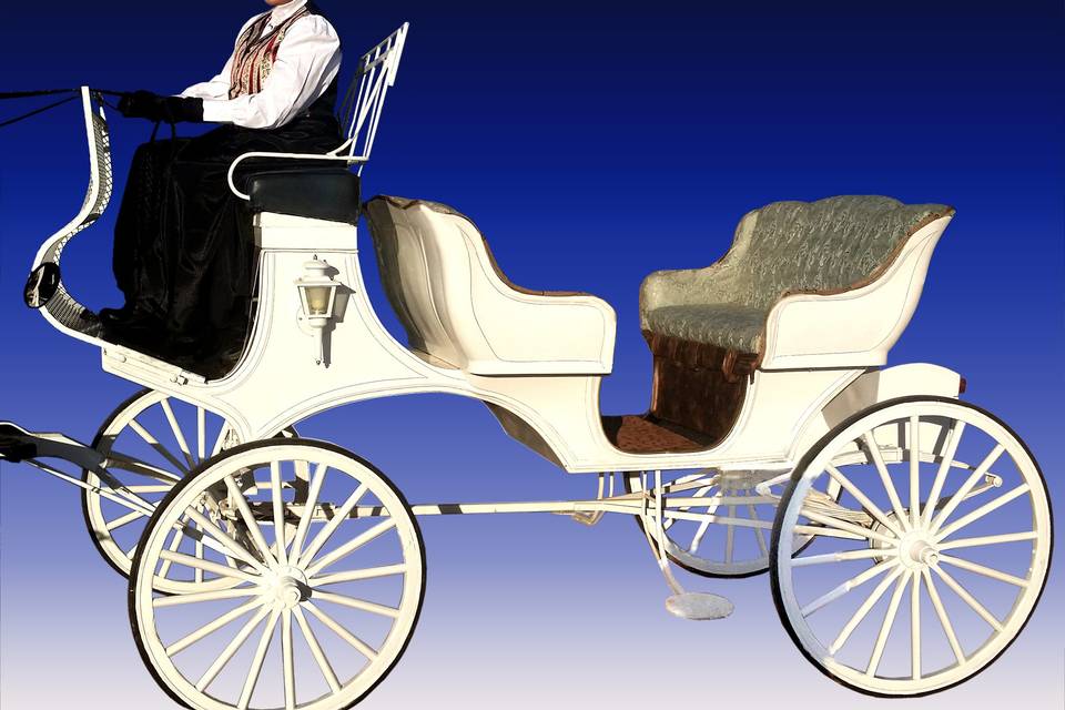 Lottie Ponies Livery and Carriage, LLC - Reviews, Photos & Deals 2026 ...