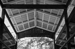 Arching Oaks Ranch - Reviews, Photos & Deals 2026 - Labelle, FL ...