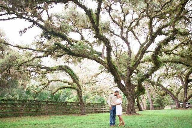 Arching Oaks Ranch - Reviews, Photos & Deals 2026 - Labelle, FL ...