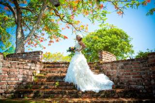 Tai Flora - Wedding Florists - James Hill, JM - WeddingWire