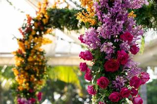 Tai Flora - Reviews, Photos & Deals 2026 - James Hill, JM - WeddingWire
