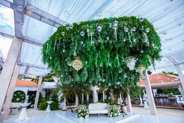 Tai Flora - Reviews, Photos & Deals 2026 - James Hill, JM - WeddingWire