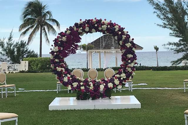 Tai Flora - Flowers - James Hill, JM - WeddingWire