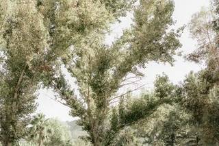 Hawk Ranch - Reviews, Photos & Deals 2026 - Murrieta, CA - WeddingWire