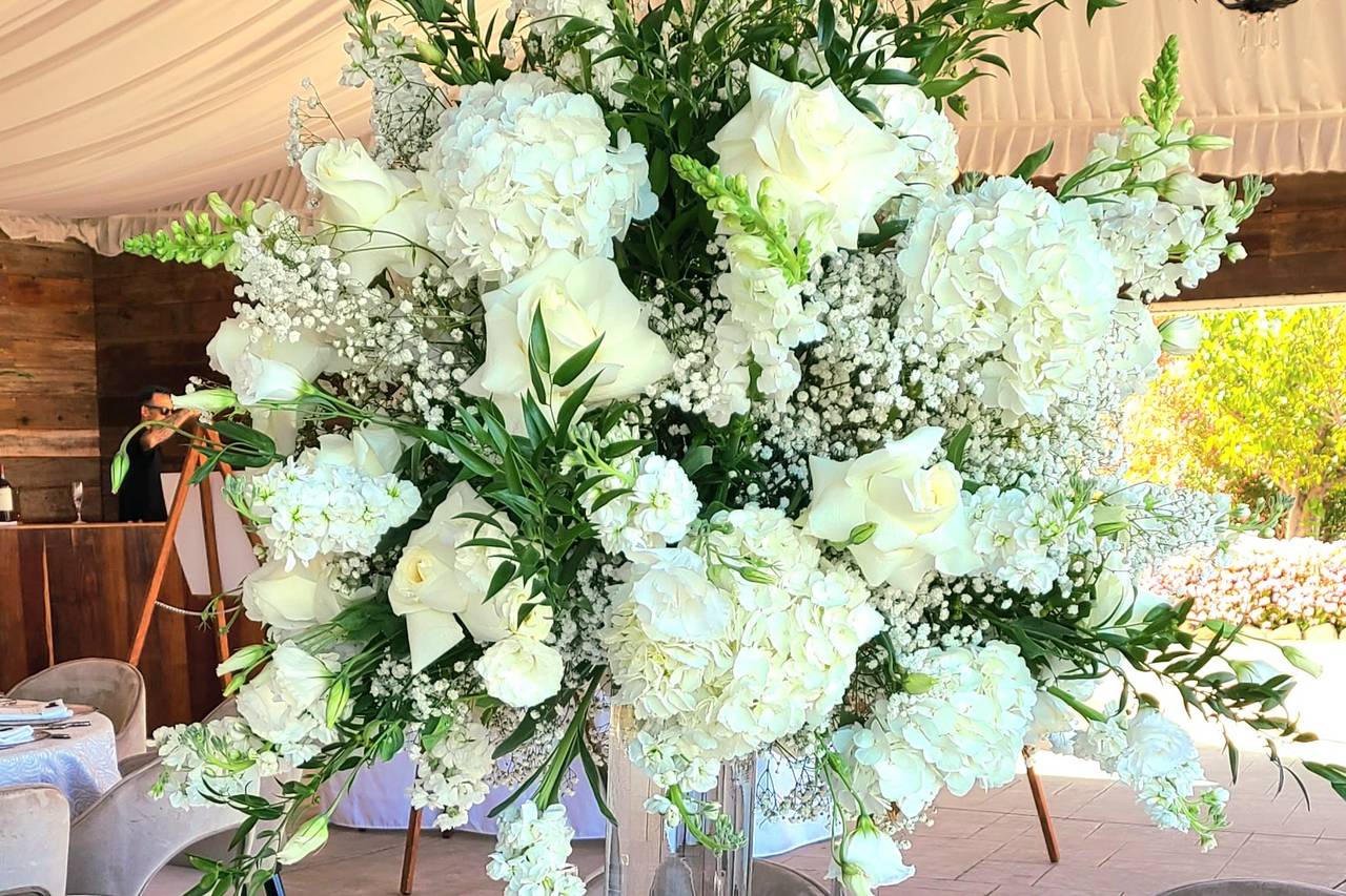 Petal Town Flowers - Flowers - Petaluma, CA - WeddingWire