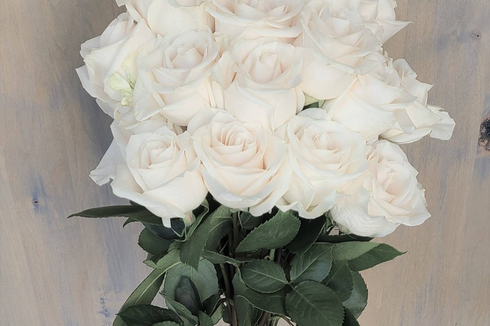 Petal Town Flowers - Flowers - Petaluma, CA - WeddingWire