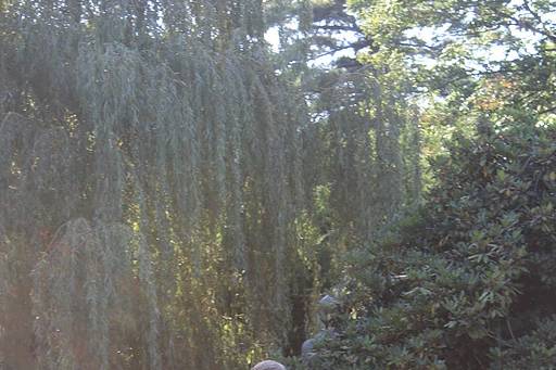Highlands Mansion and Gardens - Reviews, Photos & Deals 2026 - Fort ...