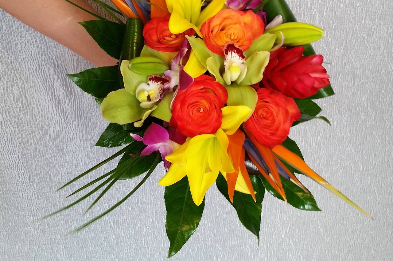 Kutchey's Flowers in Key West - Reviews, Photos & Deals 2026 - Key West ...