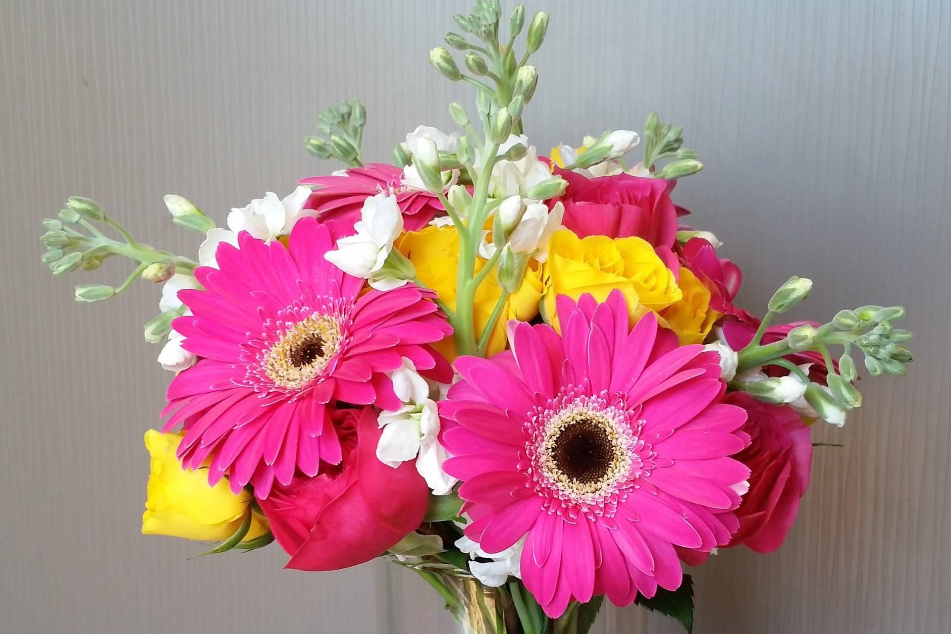 Kutchey's Flowers in Key West - Reviews, Photos & Deals 2026 - Key West ...