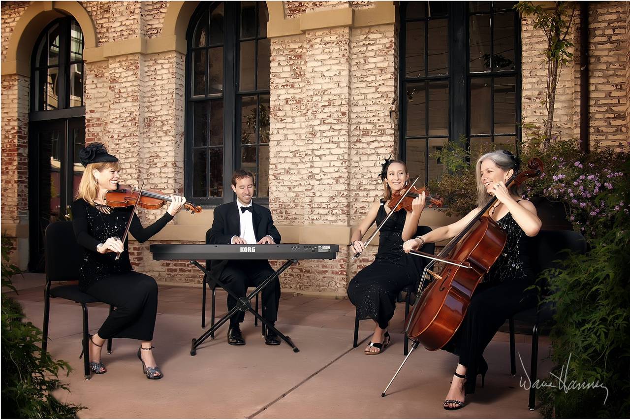 Browse Wedding Musician & Ceremony Music Near You - WeddingWire