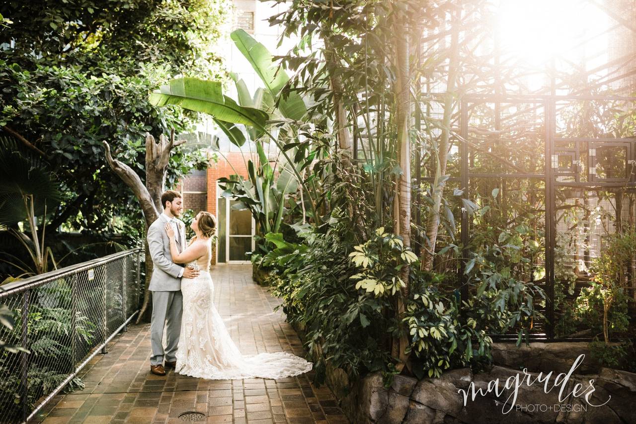 National Aviary - Venue - Pittsburgh, PA - WeddingWire