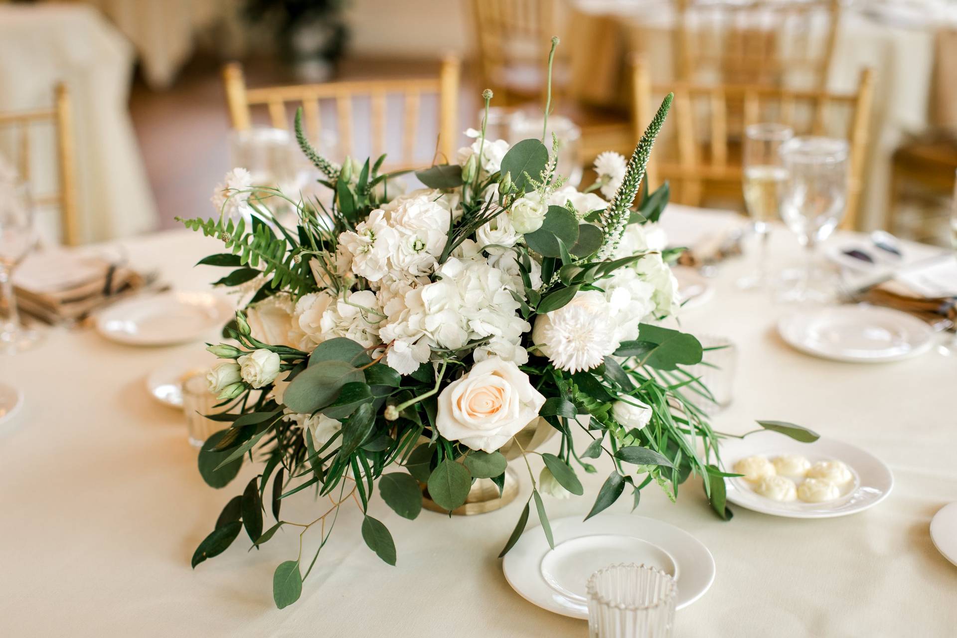 Erica Britto Photography - Reviews, Photos & Deals 2026 - New Haven, CT ...