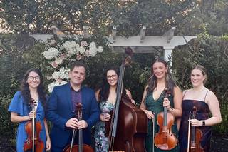 Browse Wedding Musician & Ceremony Music Near You - WeddingWire