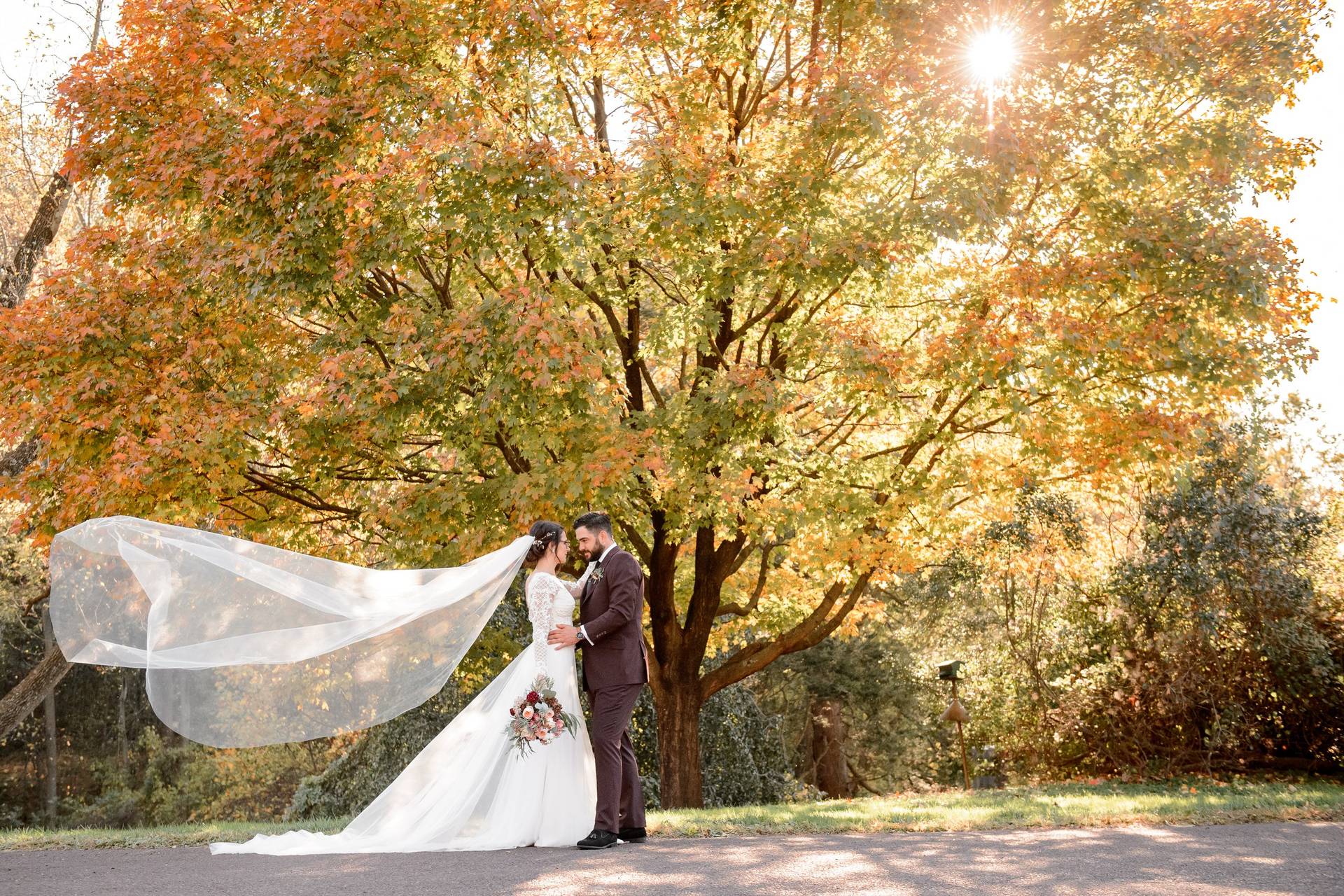 John James Audubon Center at Mill Grove - Venue - Audubon, PA - WeddingWire