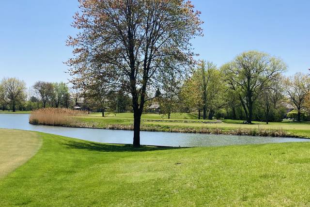 The Grove Country Club - Venue - Long Grove, IL - WeddingWire