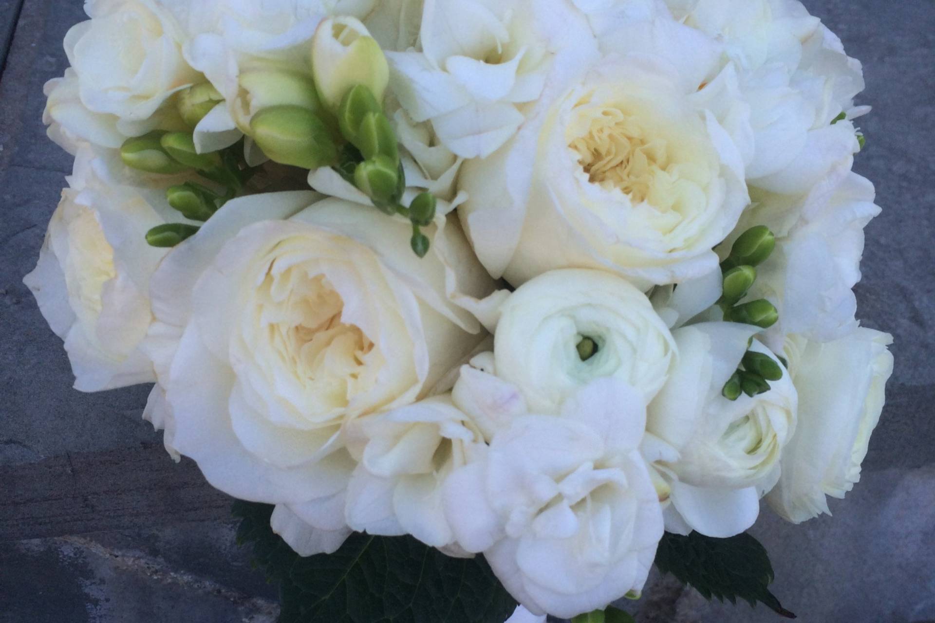 Pure Lilies - Reviews, Photos & Deals 2026 - Silver Spring, MD ...