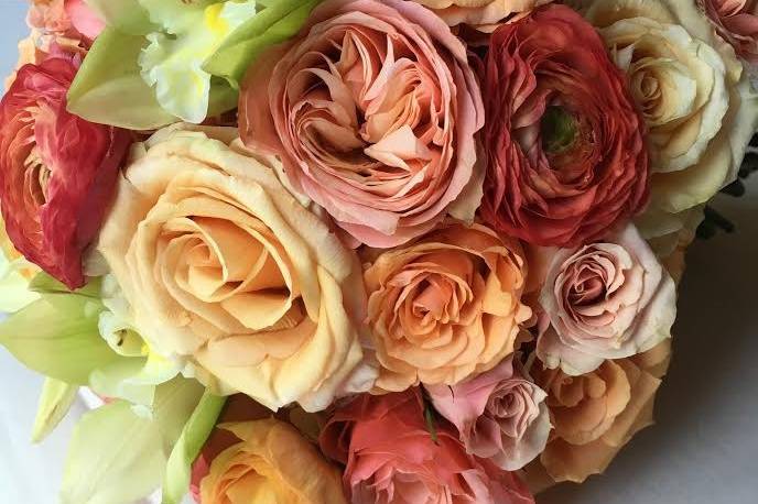 Pure Lilies - Reviews, Photos & Deals 2026 - Silver Spring, MD ...