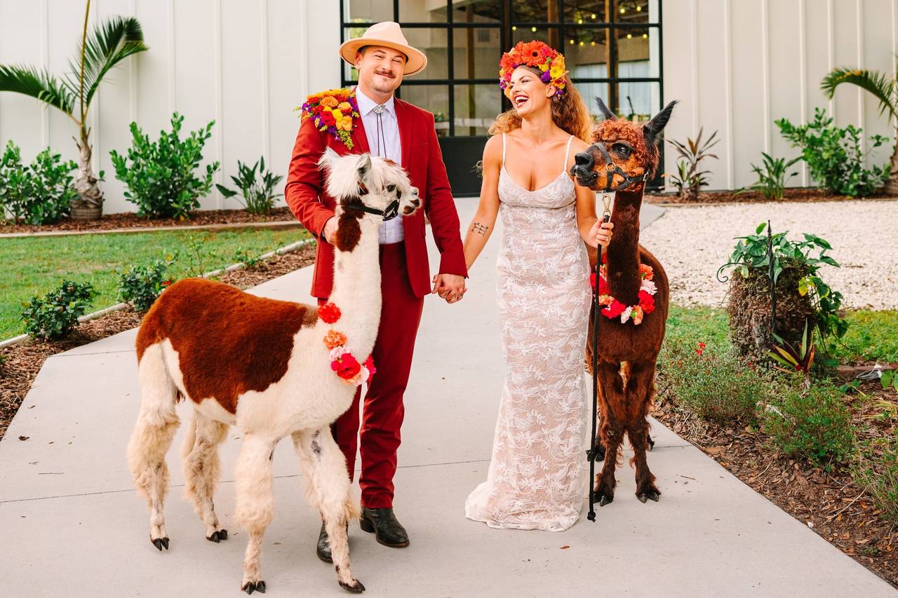 SoireEstate Weddings & Events - Barn & Farm Weddings - Lutz, FL ...