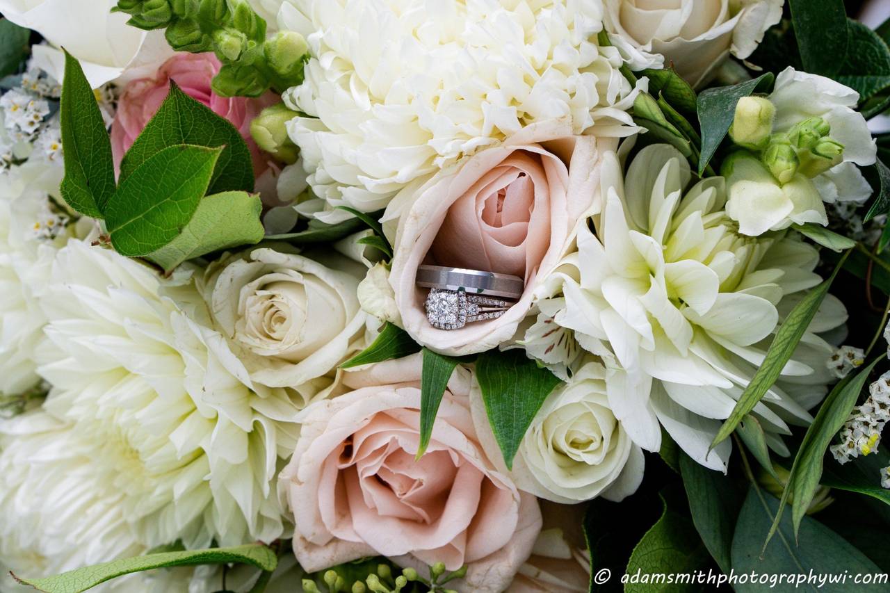 Adam Smith Photography Reviews - Eau Claire, WI - 19 Reviews