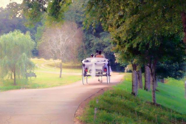 Pierce Castle - Reviews, Photos & Deals 2026 - Decatur, MS - WeddingWire