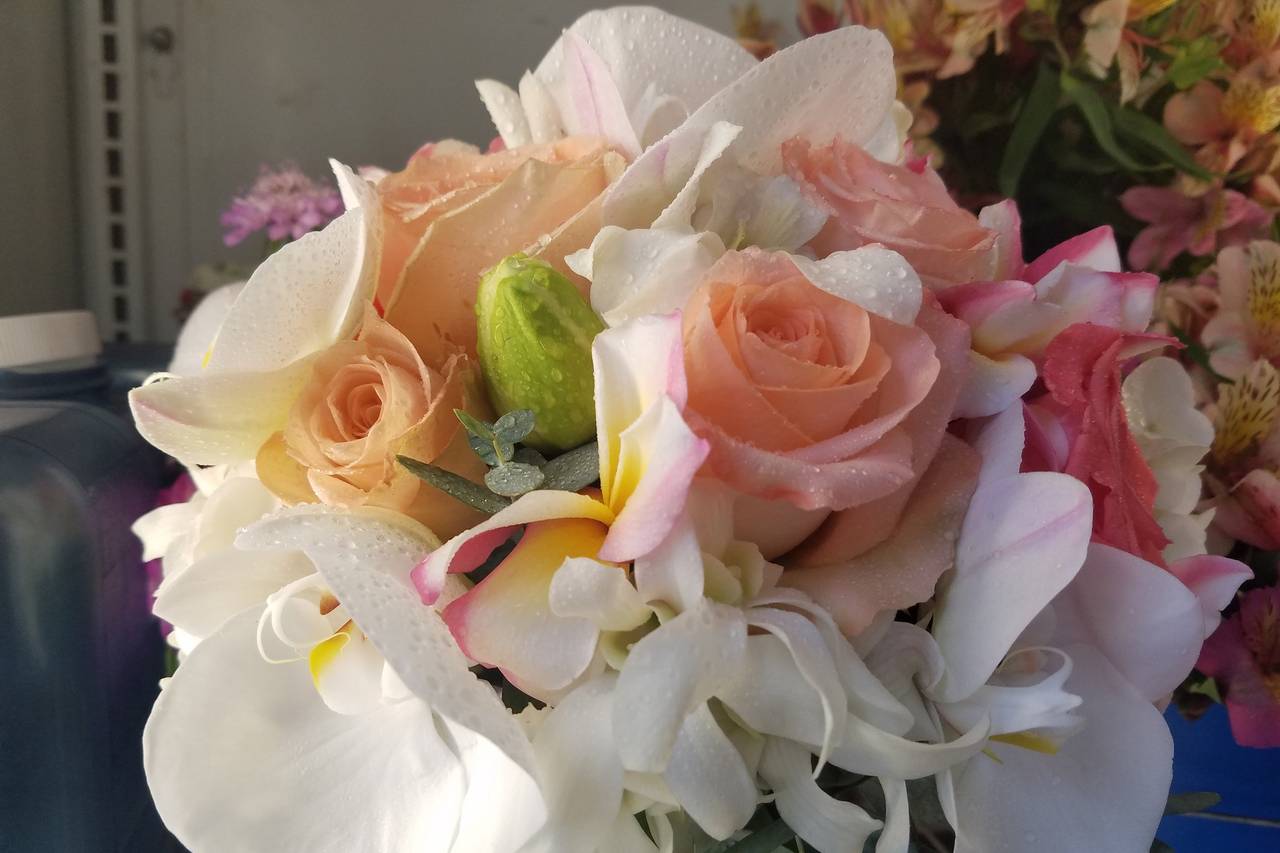 Grace Flowers Hawaii - Reviews, Photos & Deals 2026 - Honokaa, HI ...