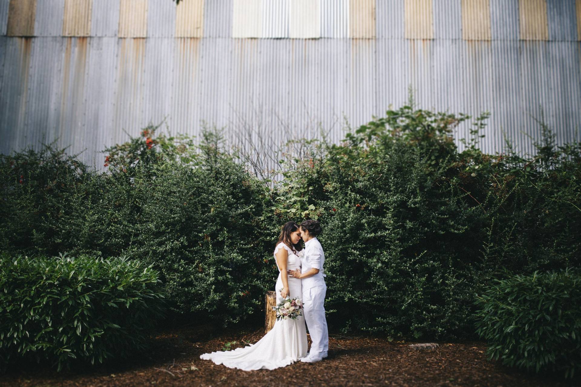 Weiss Photo & Film - Reviews, Photos & Deals 2026 - Seattle, WA ...