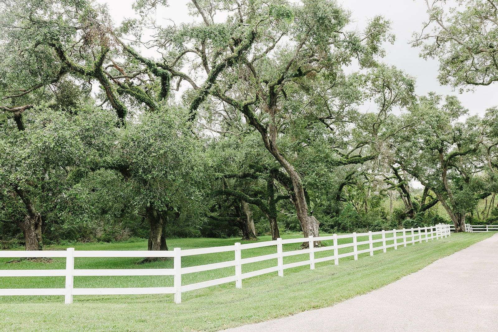 The Springs in Angleton - Mansion Weddings - Angleton, TX - WeddingWire
