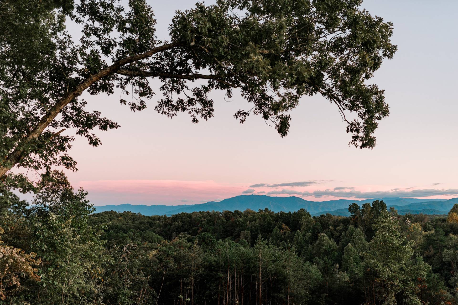 Nichols Heir - Venue - Sevierville, TN - WeddingWire