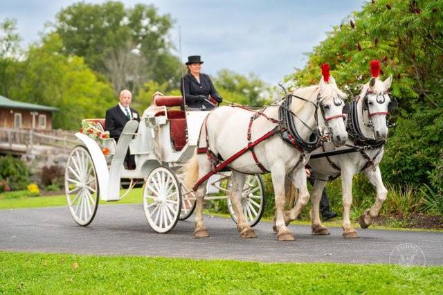 Wolf Oak Acres - Reviews, Photos & Deals 2026 - Oneida, NY - WeddingWire