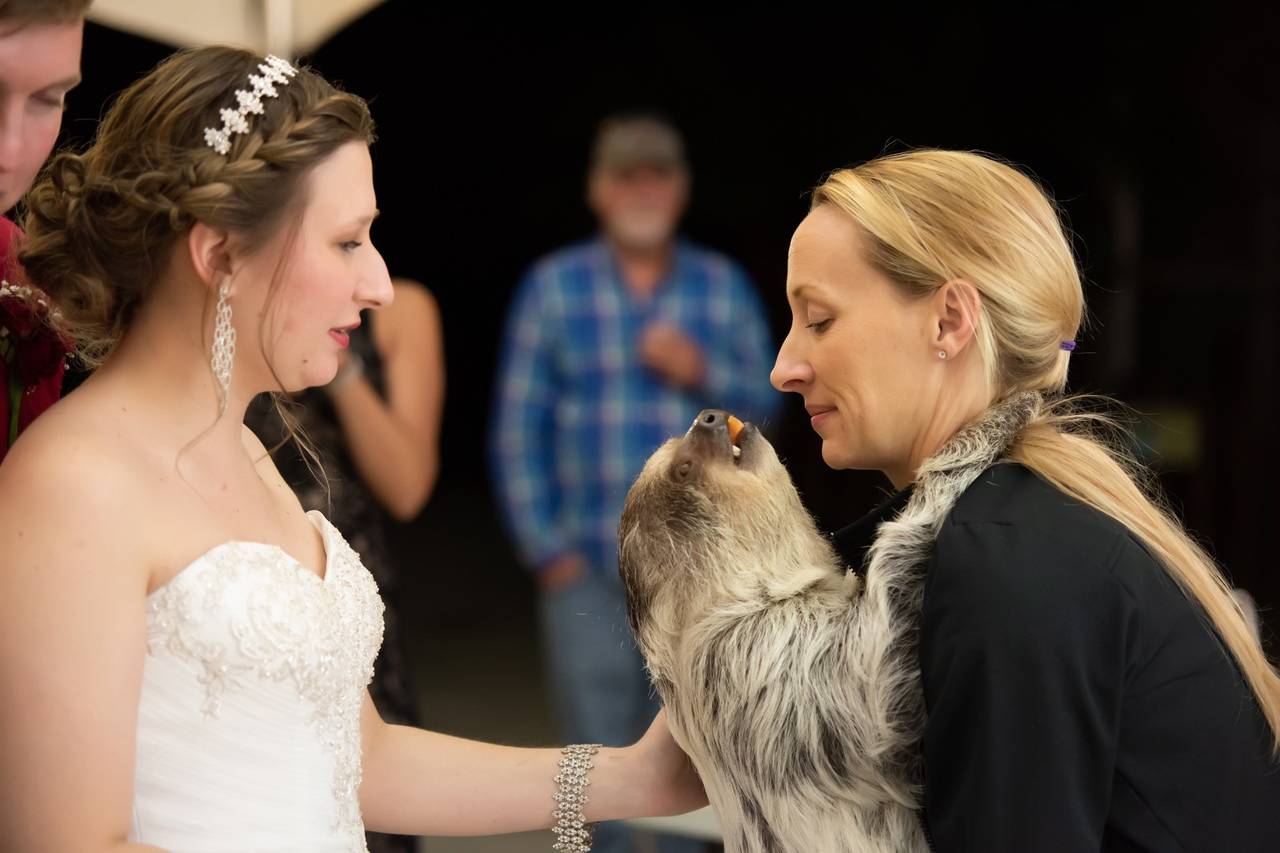 Key Royale Club,Inc - Rehearsal Dinner - Holmes Beach, FL - WeddingWire