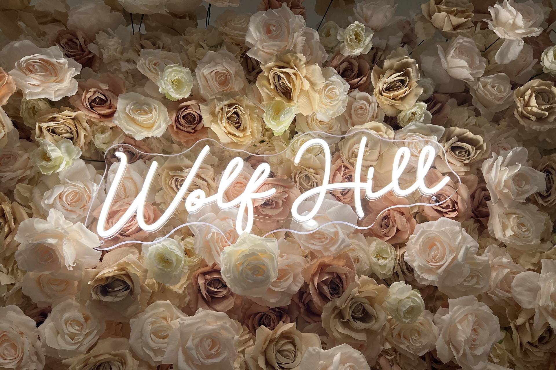 Wolf Hill - Barn & Farm Weddings - Loranger, LA - WeddingWire