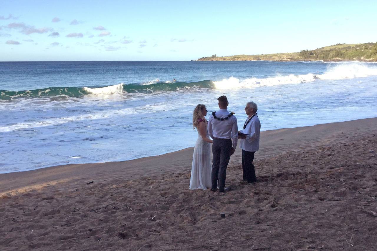 Distinctive Weddings Reviews - Puunene, HI - 80 Reviews