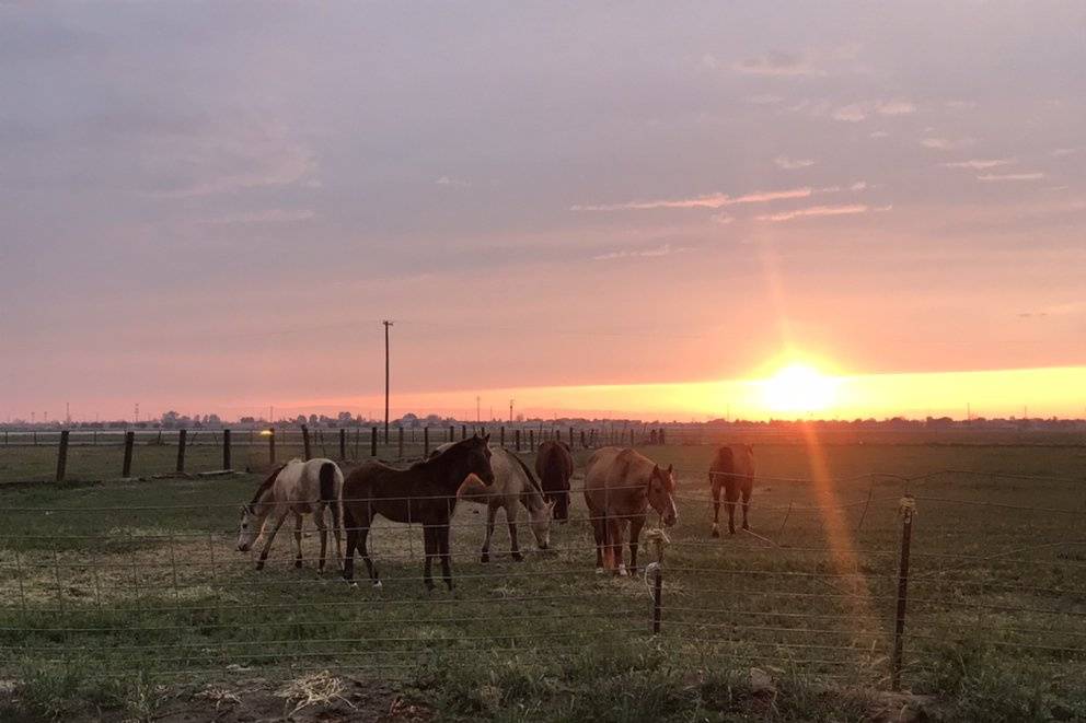 G2 Ranch - Barn & Farm Weddings - Bakersfield, CA - WeddingWire