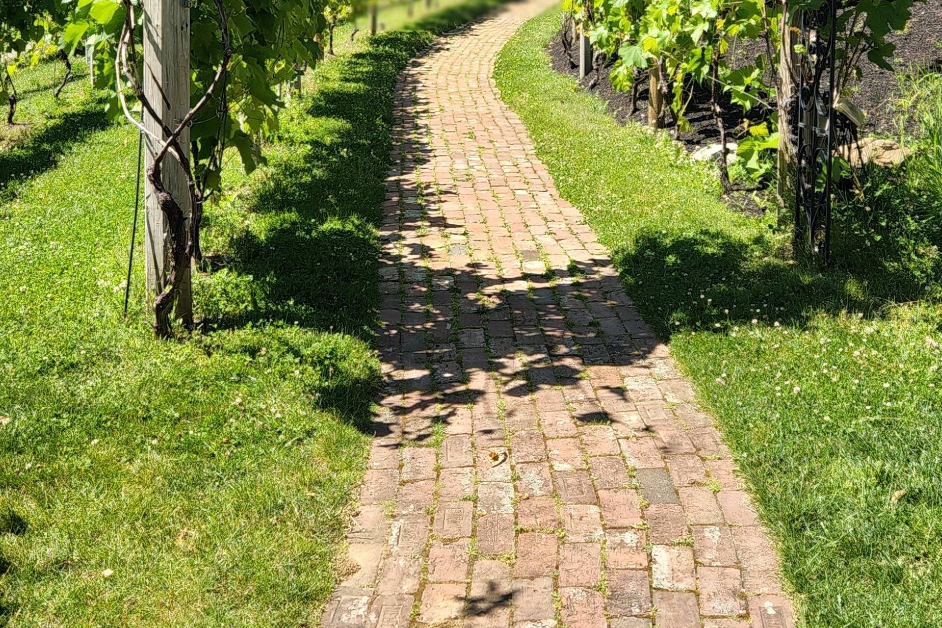 Zorvino Vineyards - Reviews, Photos & Deals 2026 - Sandown, NH ...