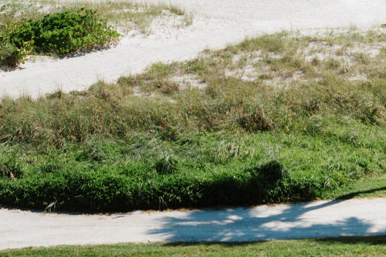 The Resort at Longboat Key Club - Country Club Weddings - Longboat Key ...