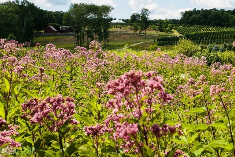 The Overlook at Geer Tree Farm - Reviews, Photos & Deals 2026 - Jewett ...