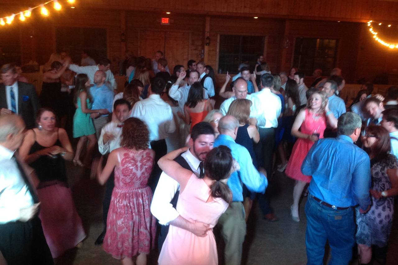 DJ Chris Brown | Wedding DJ - View 374 Reviews and 32 Pictures