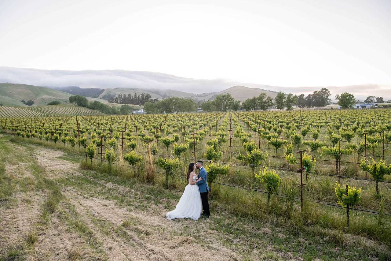 Cline Family Cellars - Reviews, Photos & Deals 2026 - Sonoma, CA ...