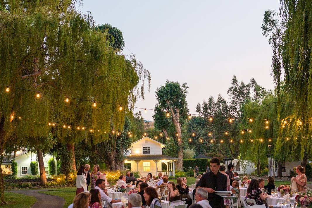 Cline Family Cellars - Winery Weddings - Sonoma, CA - WeddingWire