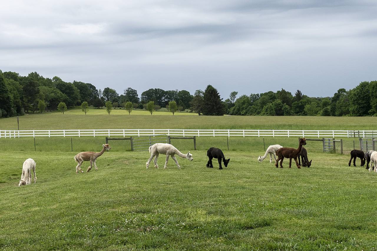 WoodsEdge Farm Events - Venue - Stockton, NJ - WeddingWire