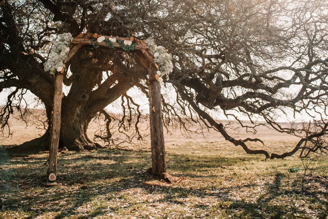 The Gathering Tree - Reviews, Photos & Deals 2026 - China Spring, TX ...