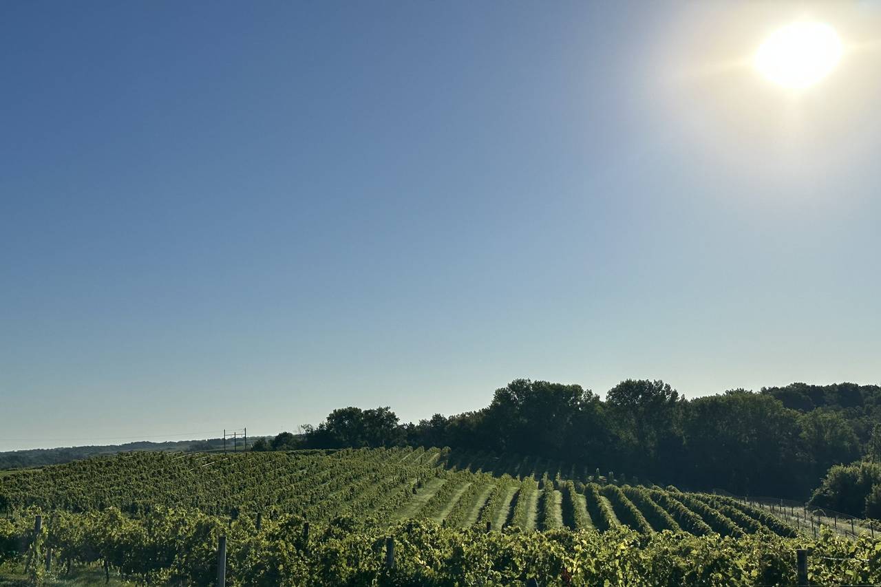Danzinger Vineyards and Winery - Venue - Alma, WI - WeddingWire